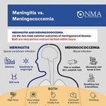 Meningococcal Disease – National Meningitis Association